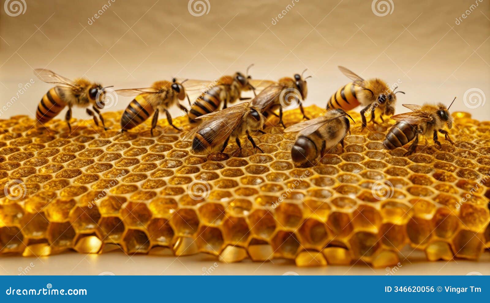 A Group of Bees on a Honeycomb, a Symbol of Hard Work and Teamwork Stock Illustration ...