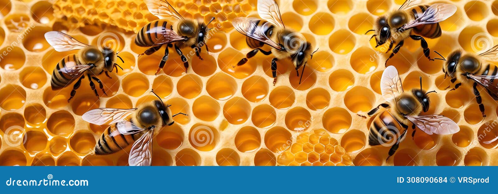 Pollinator Bees in the Beehive Building a Honeycomb Structure in Nature ...