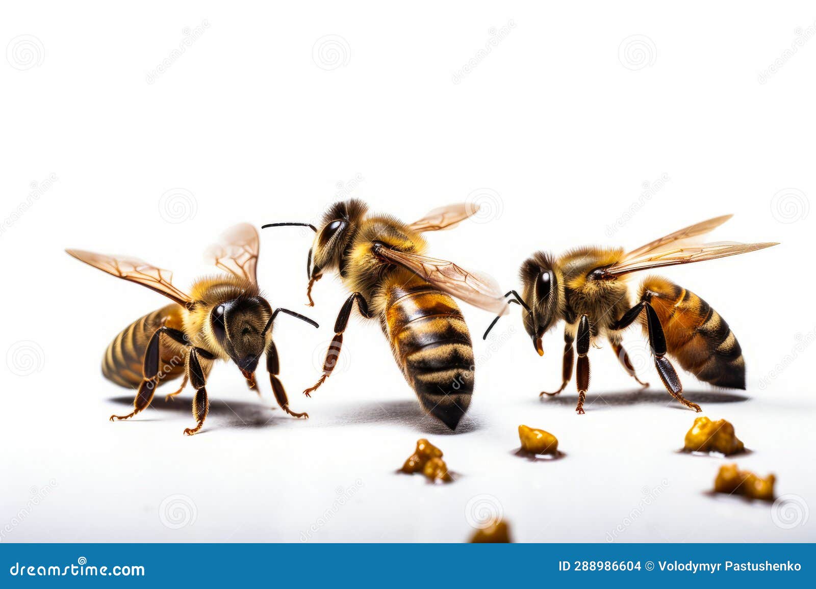 Group of Bees are Shown in Row on White Surface. Generative AI Stock ...