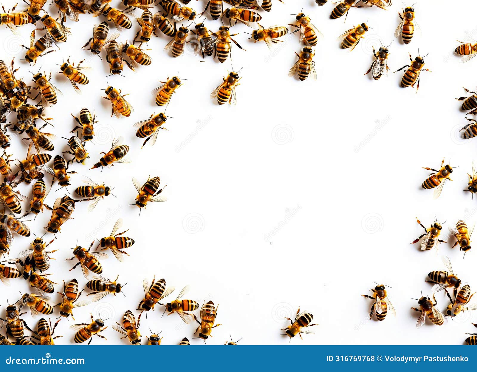 A Group of Bees on a White Background Stock Photo - Image of generated ...