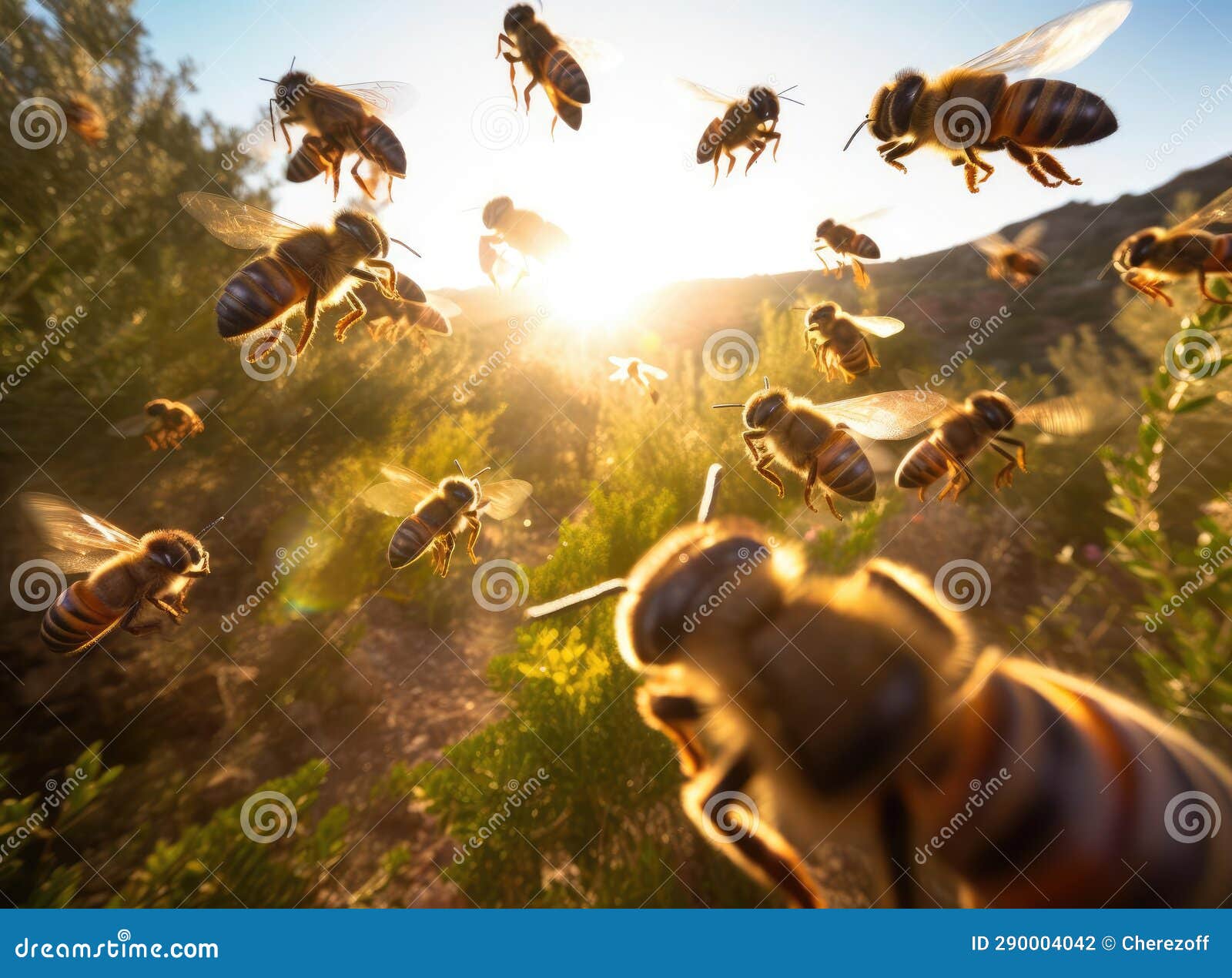 A group of bees at work stock photo. Image of flower - 290004042