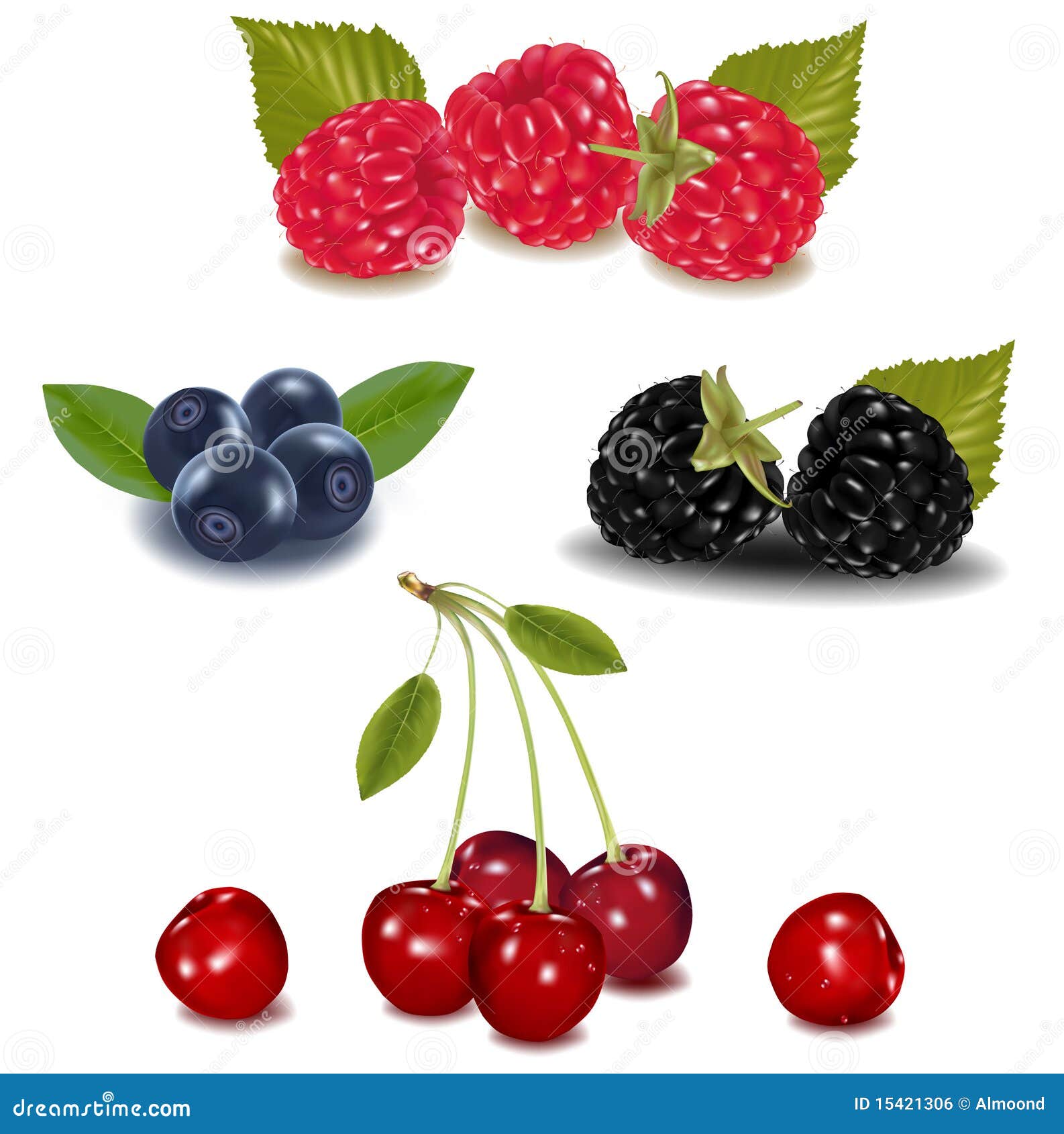 Group of berries. stock vector. Illustration of organic - 15421306