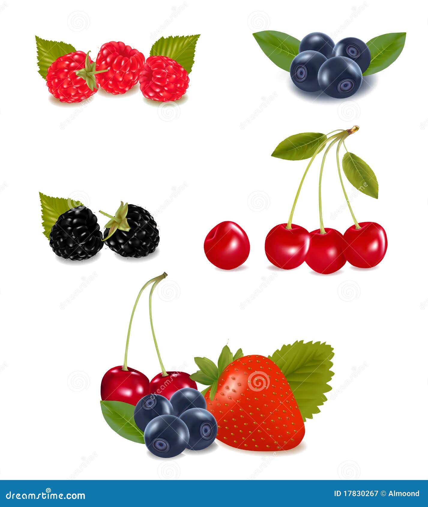 Group of Berries and Cherries. Stock Vector - Illustration of leaf ...