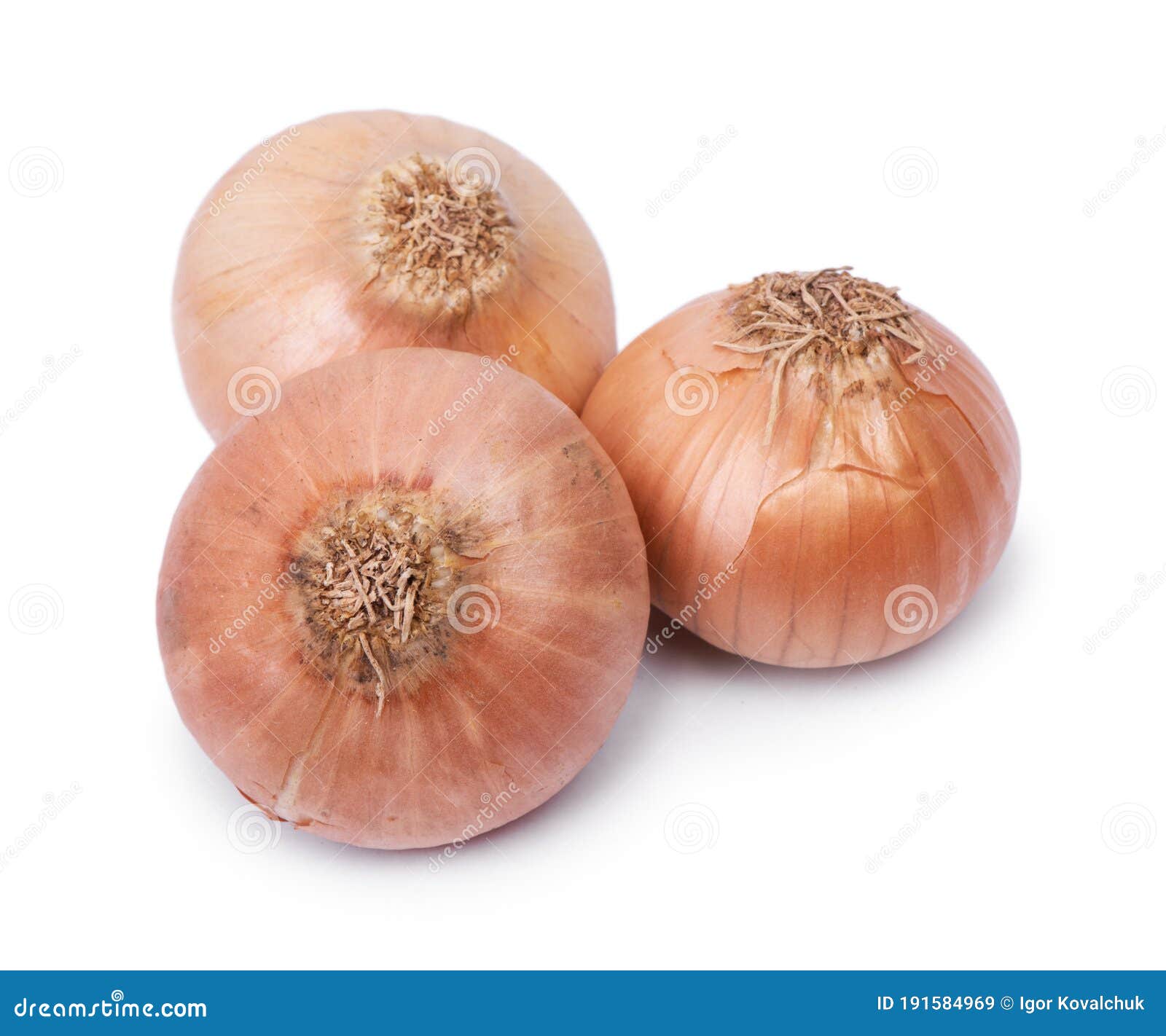 Group of big onions stock image. Image of isolated, culinary - 191584969