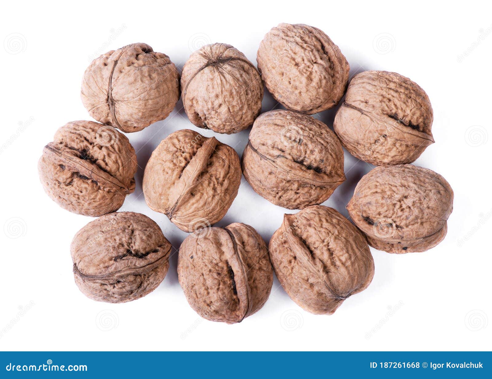 Group of big whole walnuts stock photo. Image of food - 187261668
