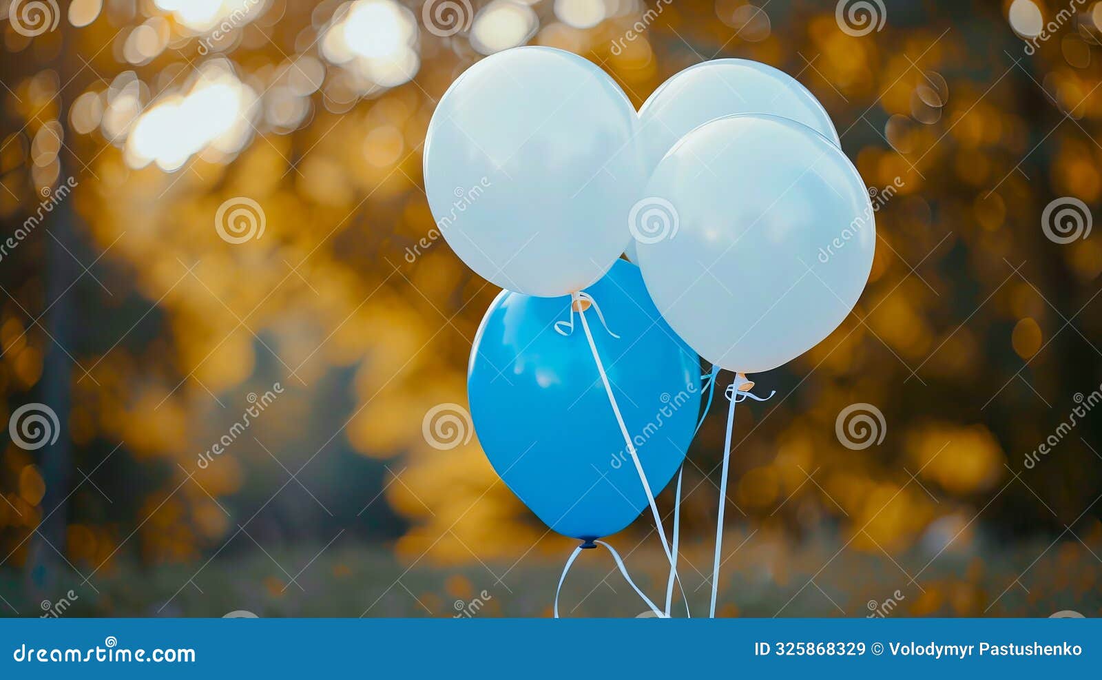 A Group of Blue and White Balloons in the Grass Stock Image - Image of ...