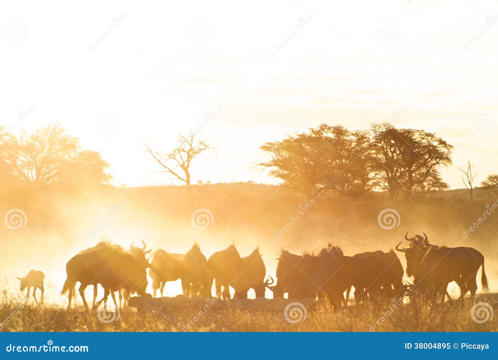 Group of Blue Wilder Beasts Stock Image - Image of landscape, natural ...