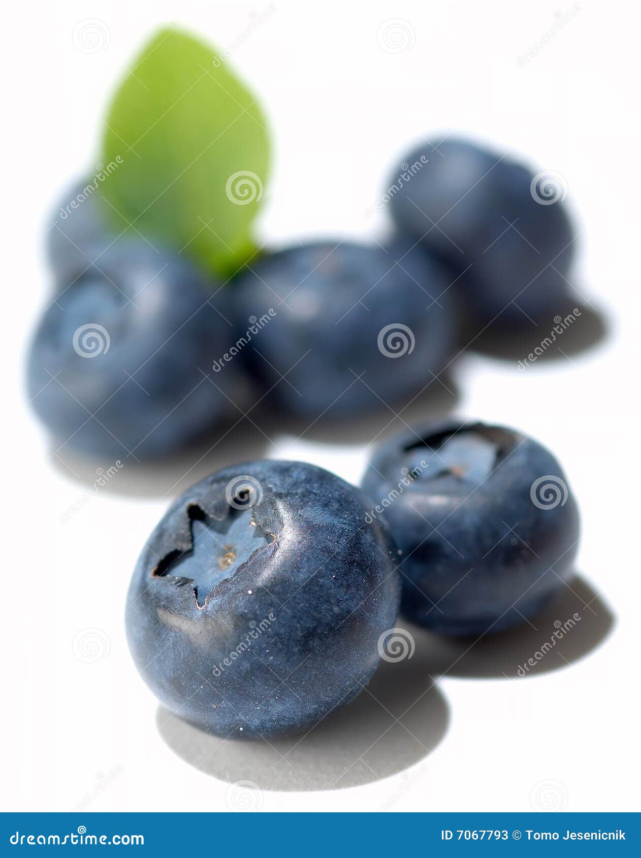Group of Blueberries Isolated on White Stock Image - Image of food ...