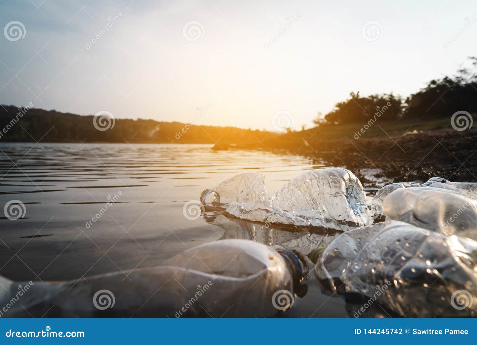 Group of Bottle Plastic in the River. Stock Photo - Image of concept ...