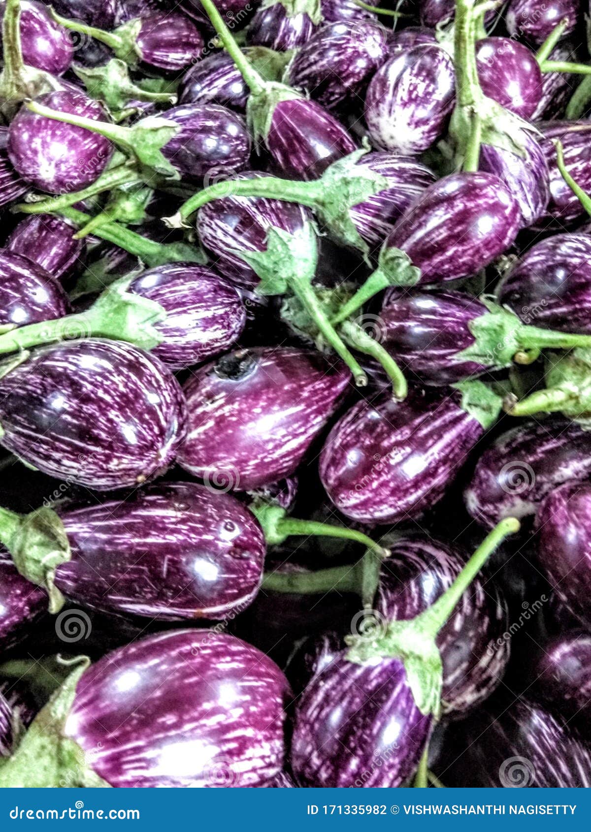 Group of brijal vegitables stock photo. Image of solanum - 171335982