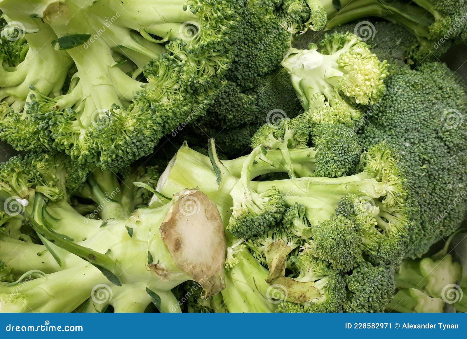 Group of Broccoli, Close-up Broccoli Texture Stock Image - Image of ...