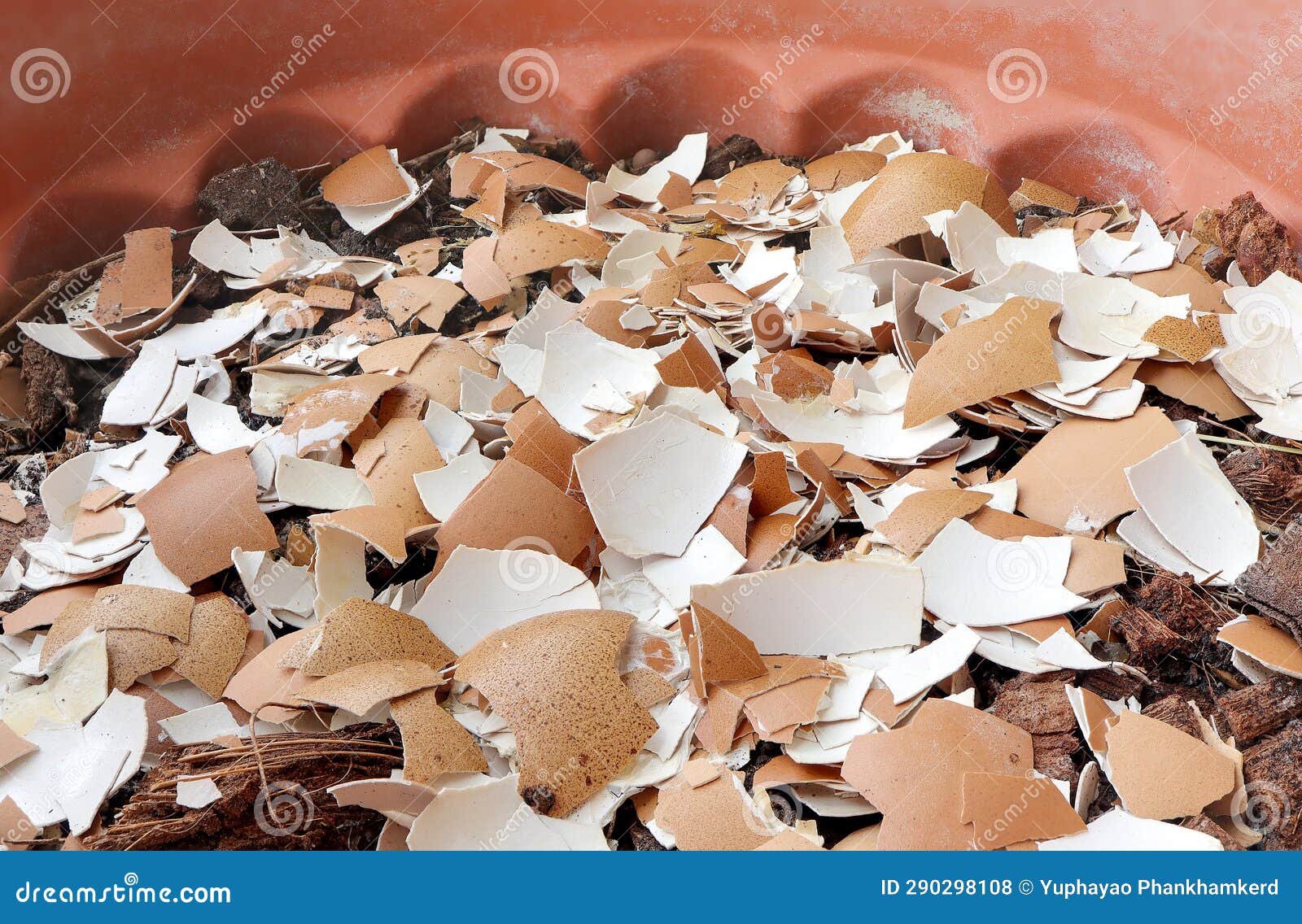 Group of Broken Egg Shells in Plastic Flower Pot. Recycling Kitchen ...