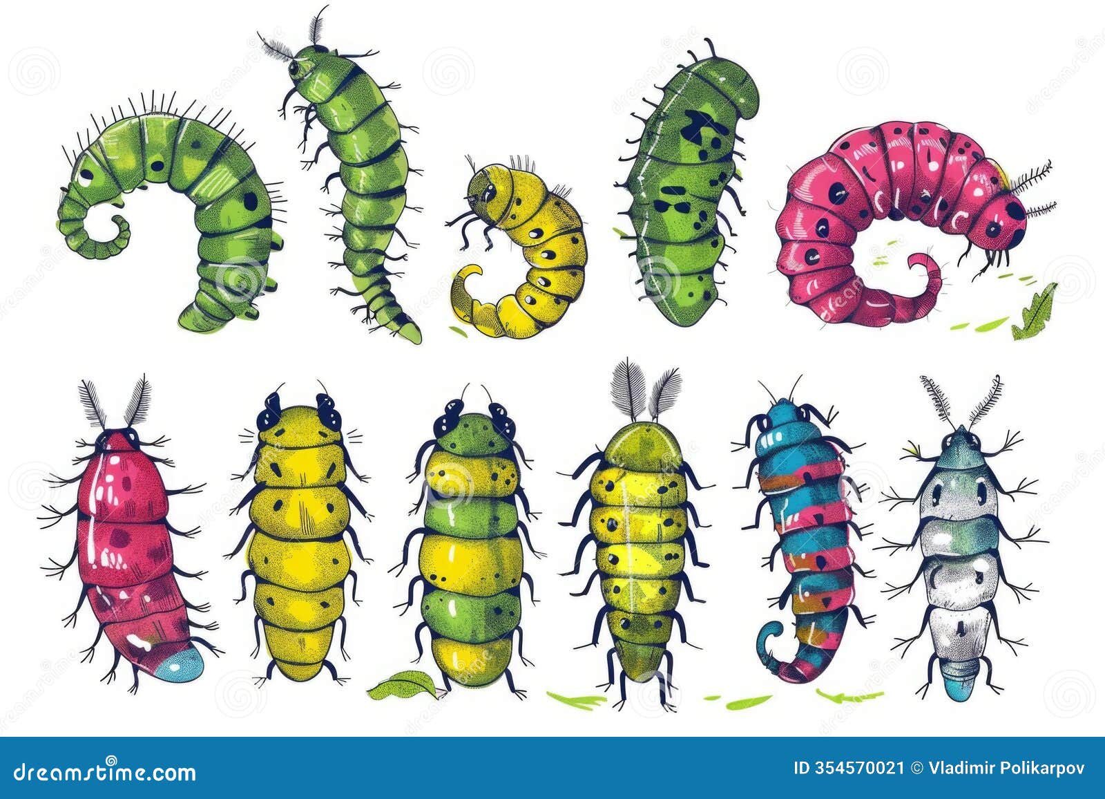 Group of Bugs in Various Vibrant Colors, Perfect for Educational ...