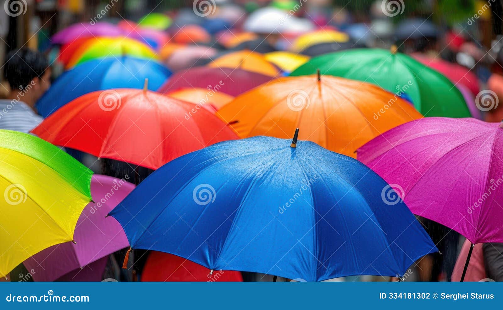 A Group of a Bunch of People with Colorful Umbrellas, AI Stock Photo ...