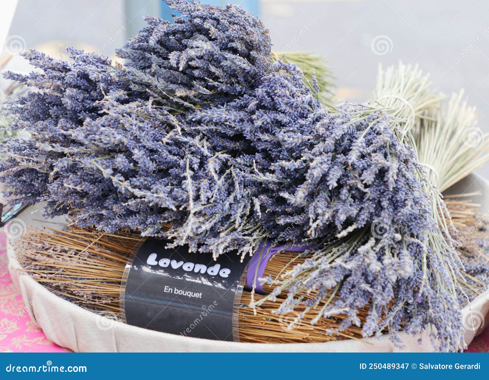 Group of Bunches of Lavender Stock Image - Image of lavande, bunch ...