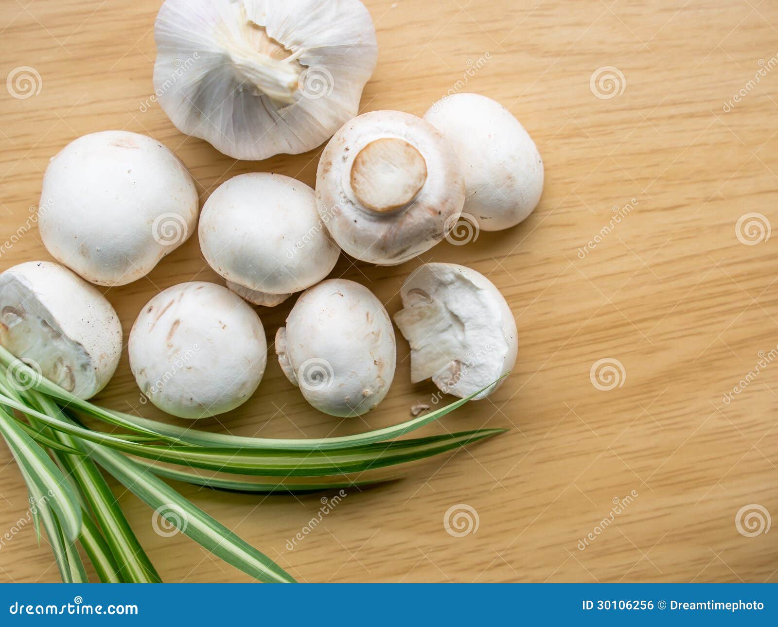 Buttom mushroom stock photo. Image of mushroom, leaves - 30106256
