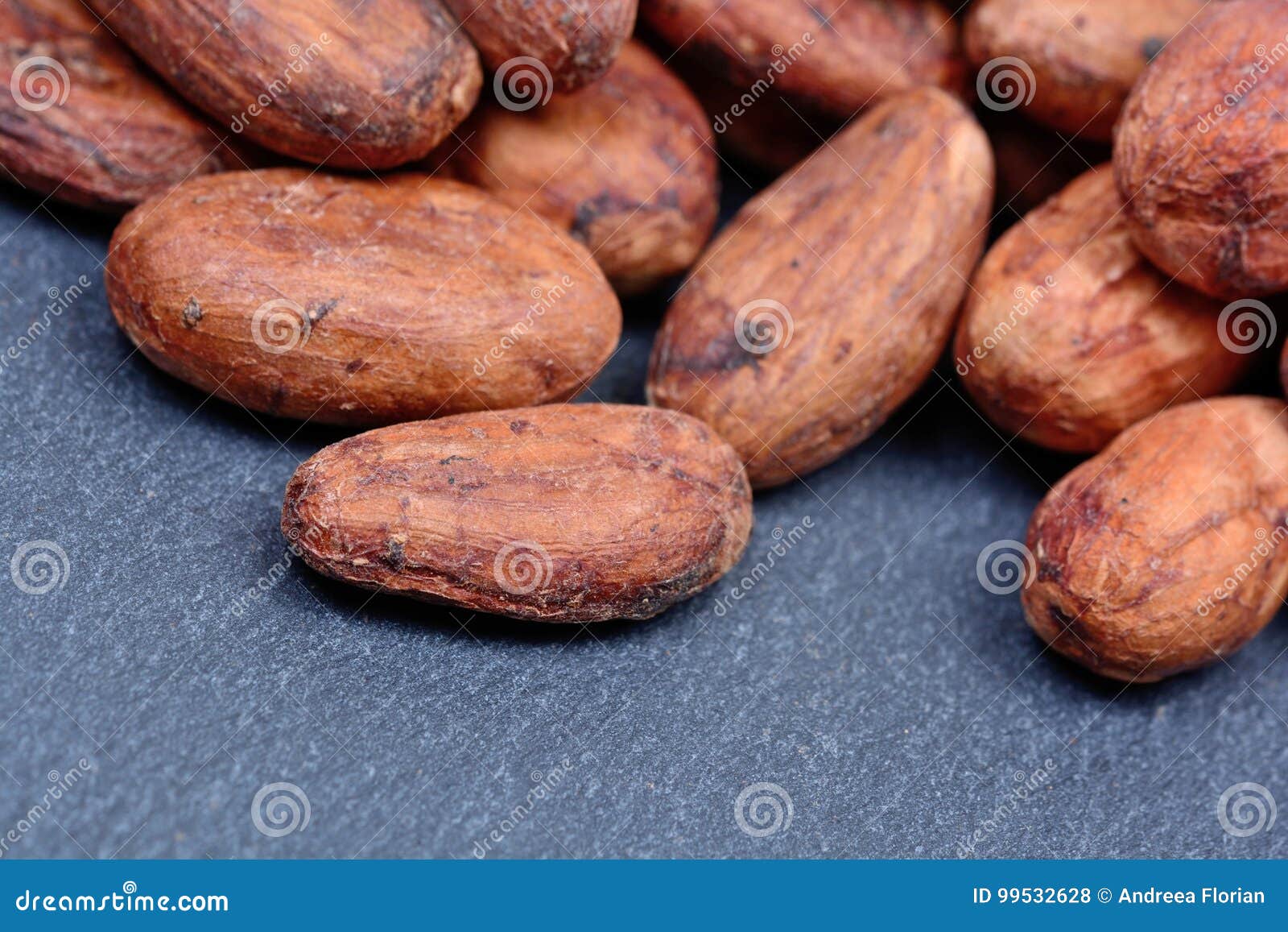 Group Of Cacao Royalty-Free Stock Photography | CartoonDealer.com #59342525