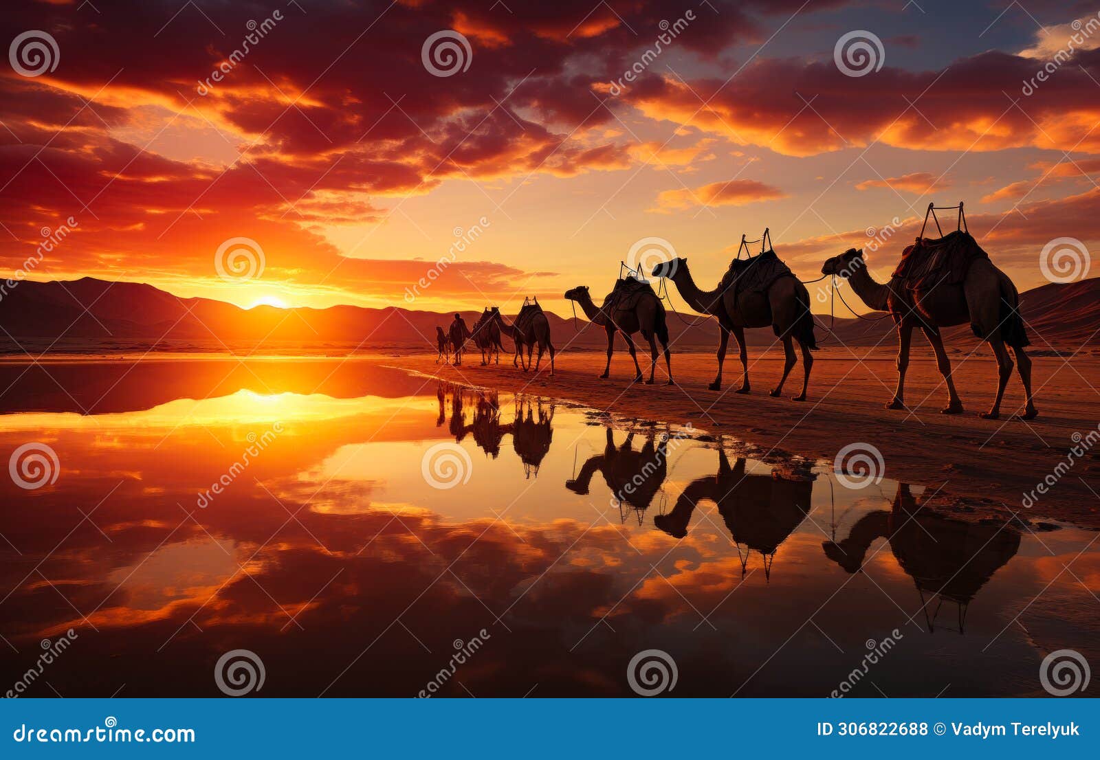 A Group of Camels Walking Along a Beach at Sunset. Majestic Sunset Walk ...