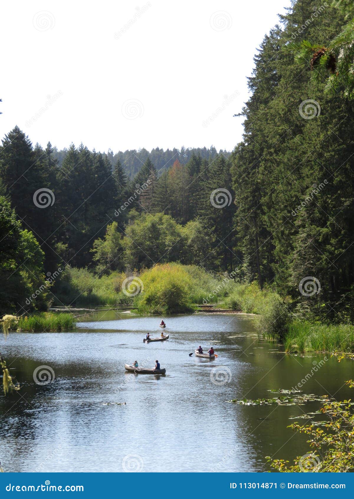 Group Canoeing on Lake of the Winds Stock Image - Image of rowing, lake ...