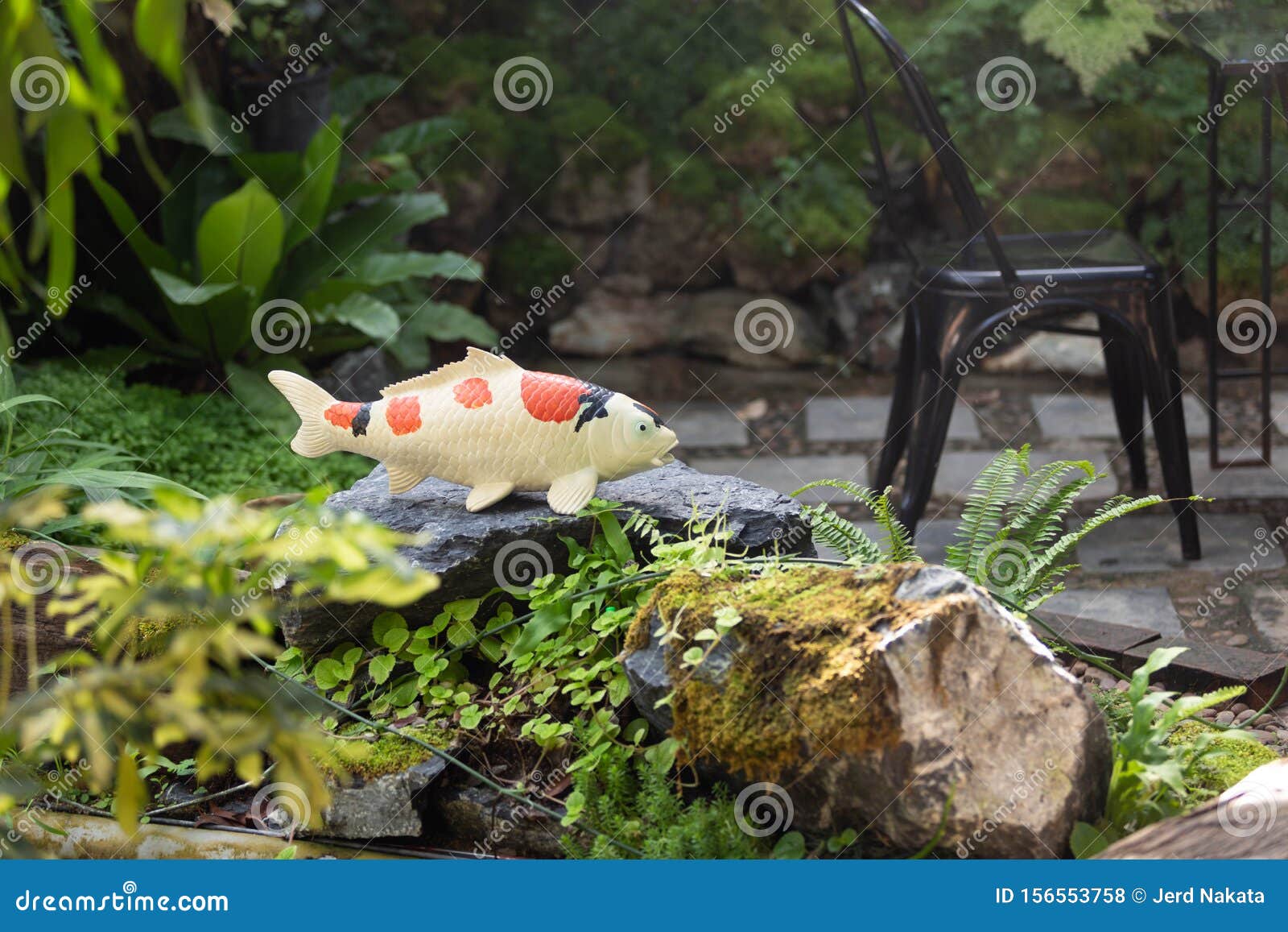 A Group of Carp in the Pool Stock Photo - Image of asian, gold: 156553758