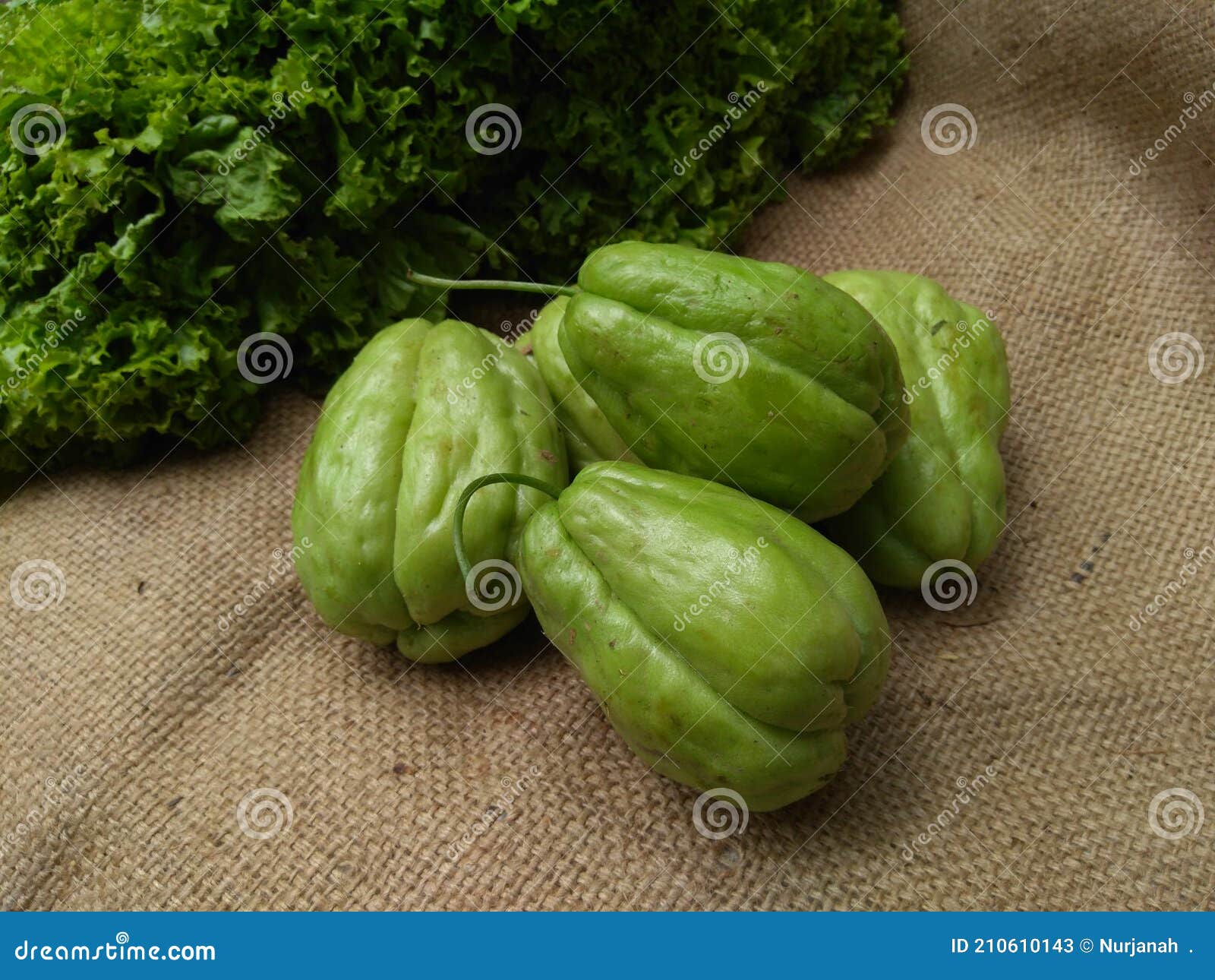 A Pile of Fresh Green Chayotes Stock Image - Image of leaf, sack: 210610143