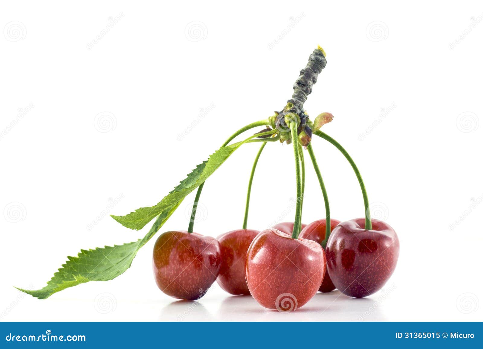 Group of Cherries Connected Together Stock Image - Image of taste ...