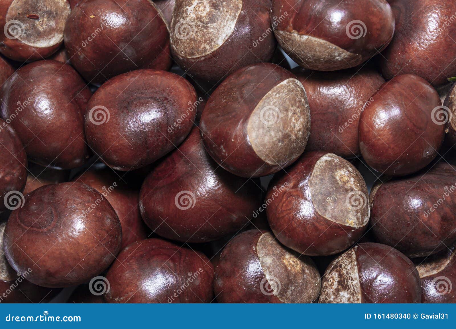 A Group of Chestnuts Illuminated by the Bright Side. Dark Background ...
