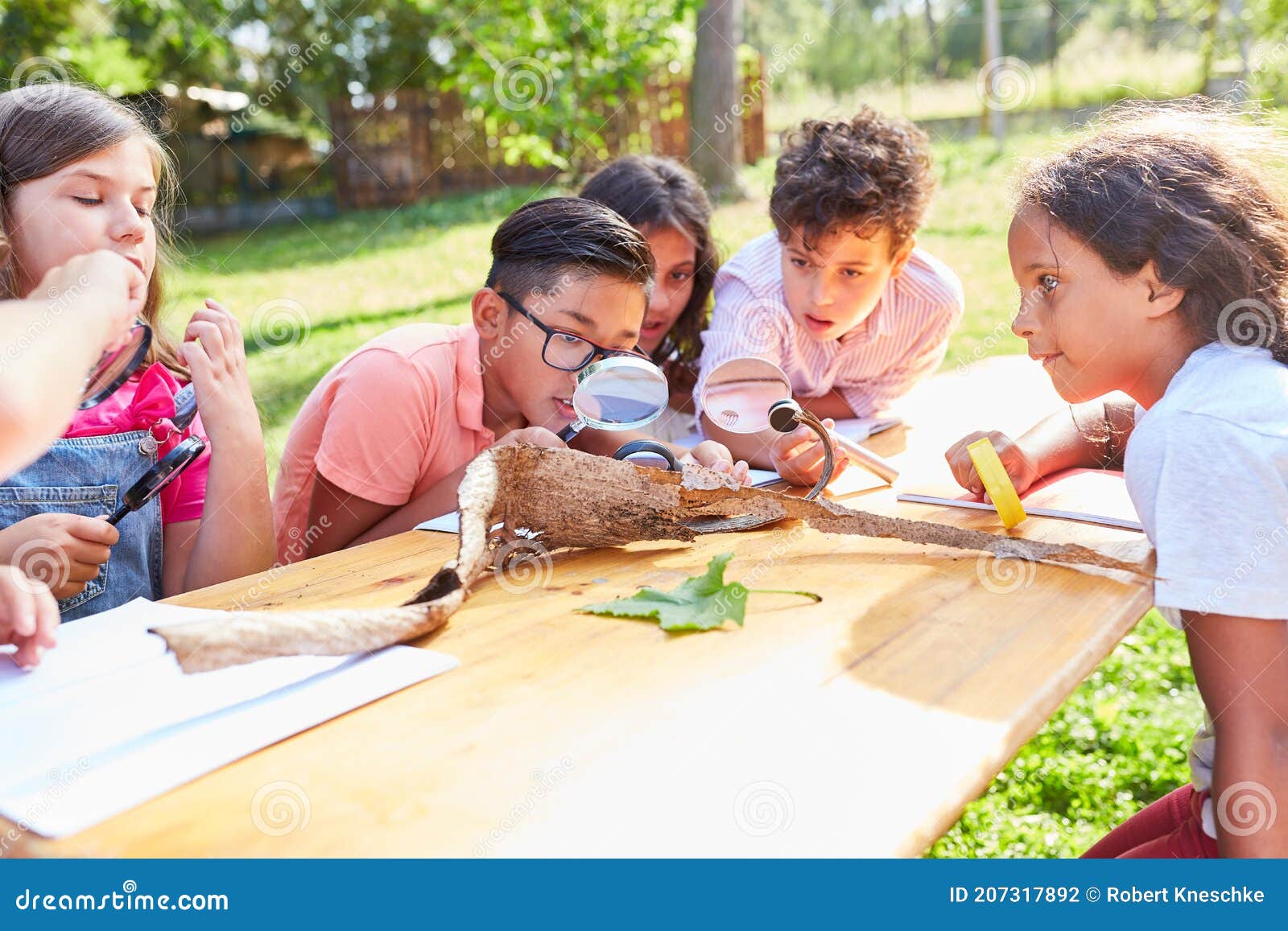 Group of Children Look at Tree Bark through a Magnifying Glass Stock ...