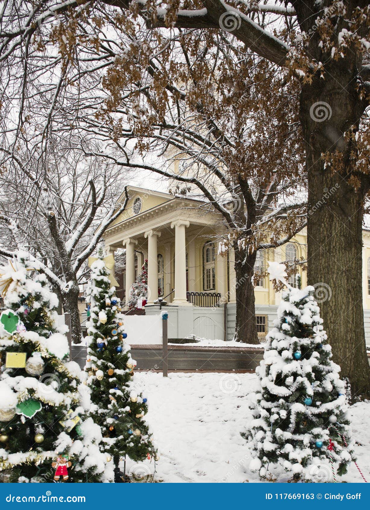 Group of Christmas Trees in Front of the Fauquier County Courthouse in ... Group of Christmas Trees in Front of the Fauquier County Courthouse in ...