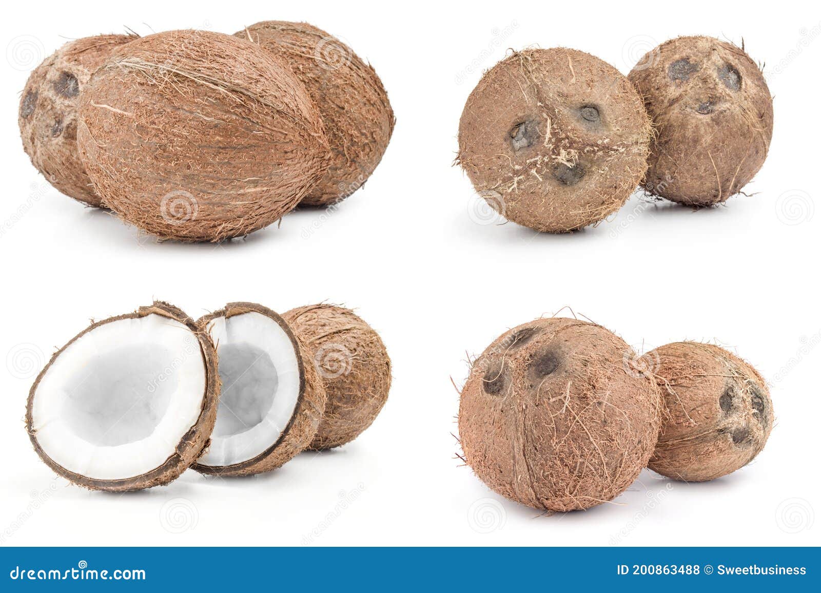 Group of Coconut Close-up on White Stock Photo - Image of shell ...