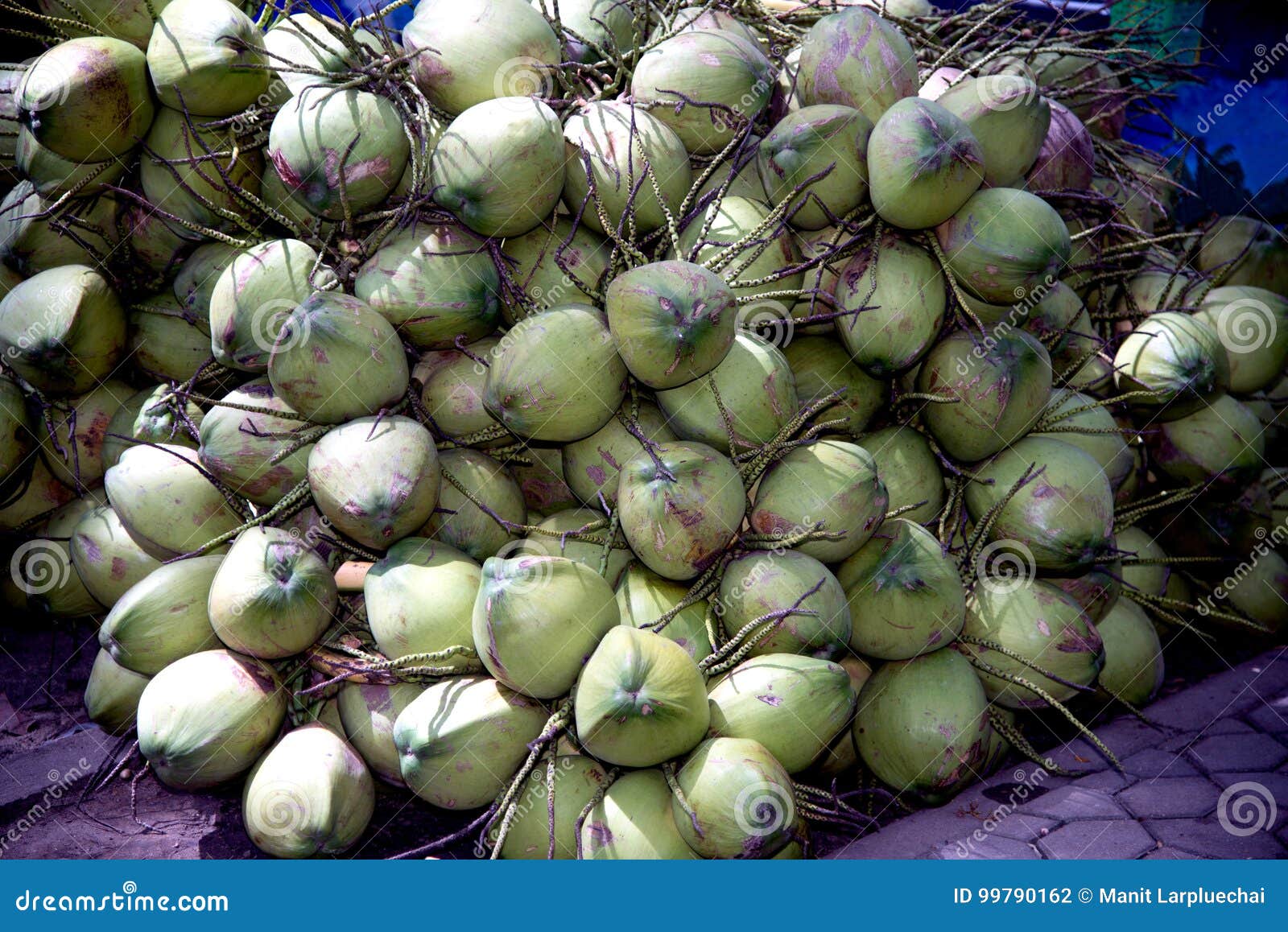 Group of Coconut on a Floor for Sell. Stock Photo - Image of coconut ...