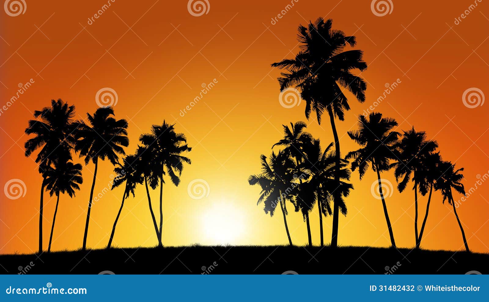 Group of Coconut Trees on Sunset Background Stock Photo - Image of ...