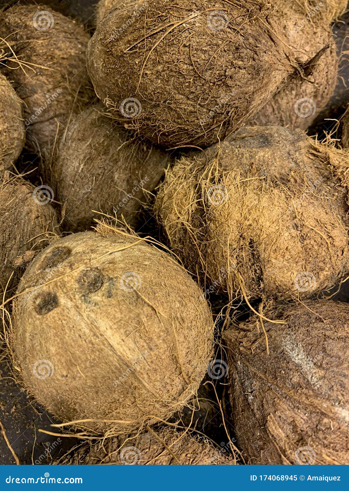 Group of Coconuts on the Market Stock Image - Image of drink, fruit ...