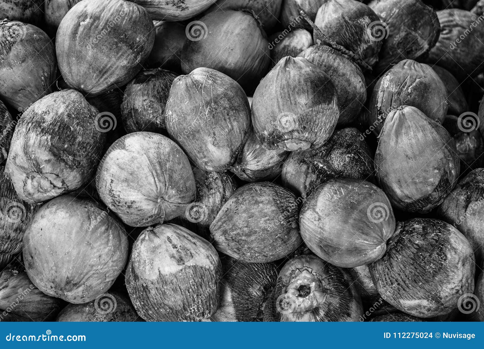 Group of Coconuts, Coconuts for Decoration Stock Photo - Image of ...