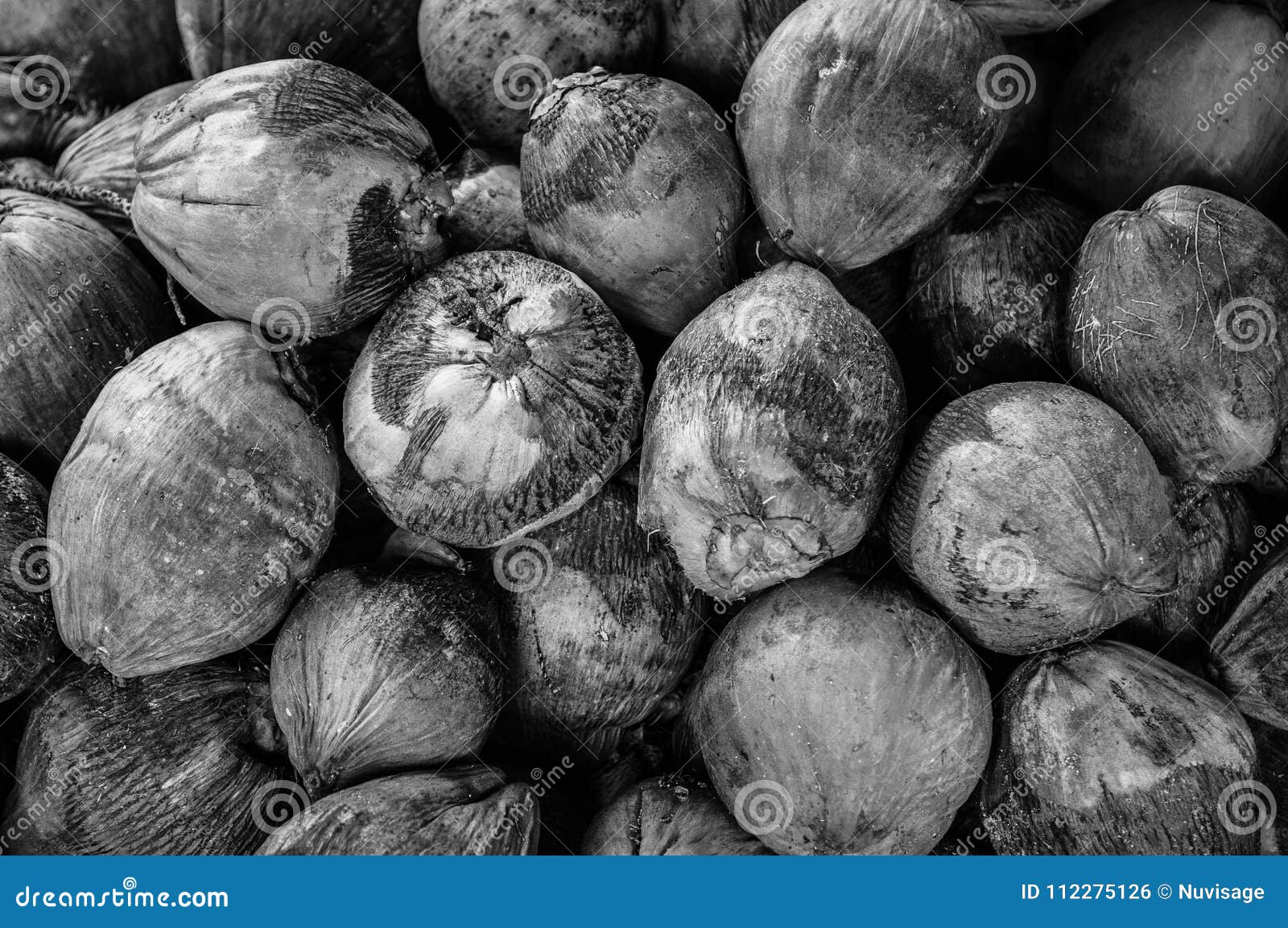 Group of Coconuts, Coconuts for Decoration Stock Photo - Image of ...