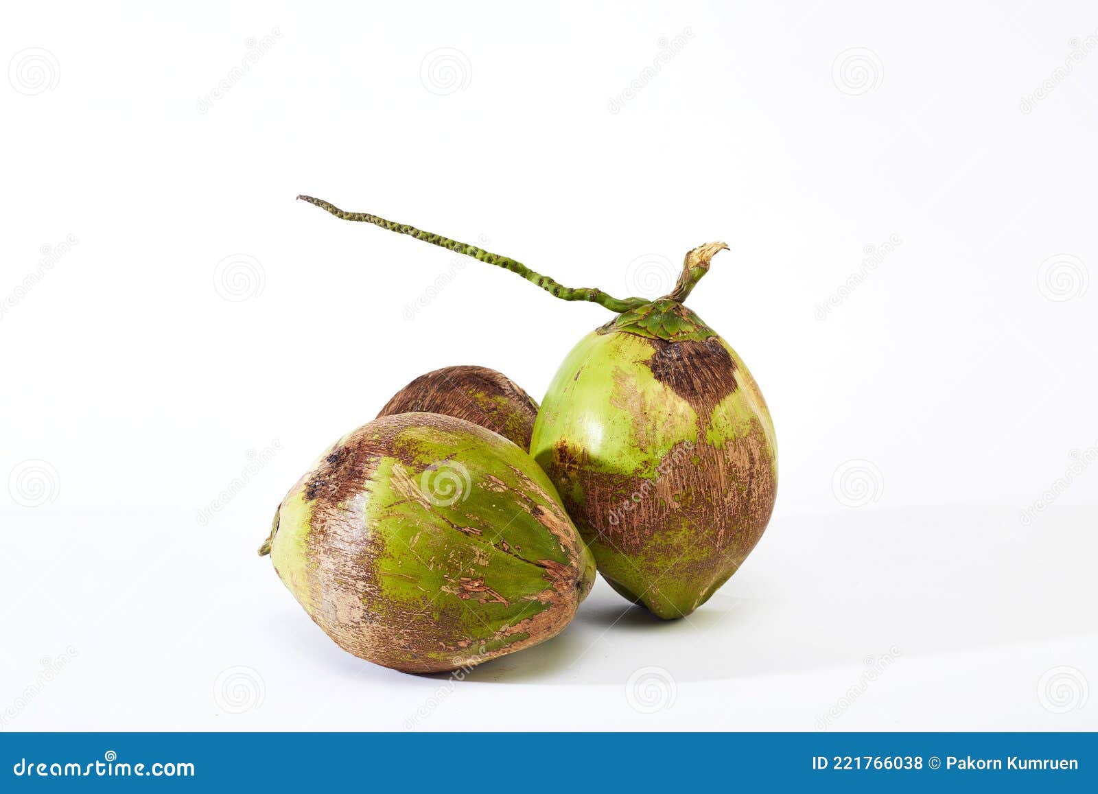 Group Of Coconuts Isolated On White Background. Clipping Path Stock ...