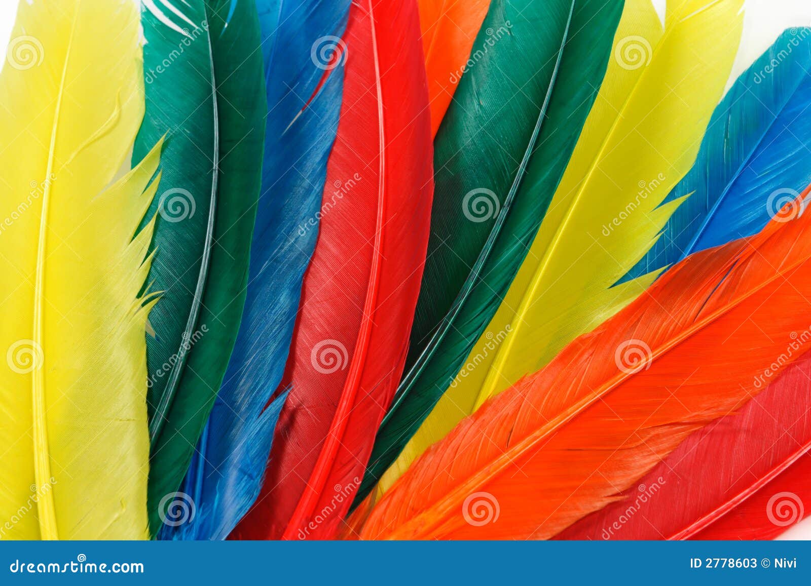 Group of colorful feathers stock image. Image of grouped - 2778603