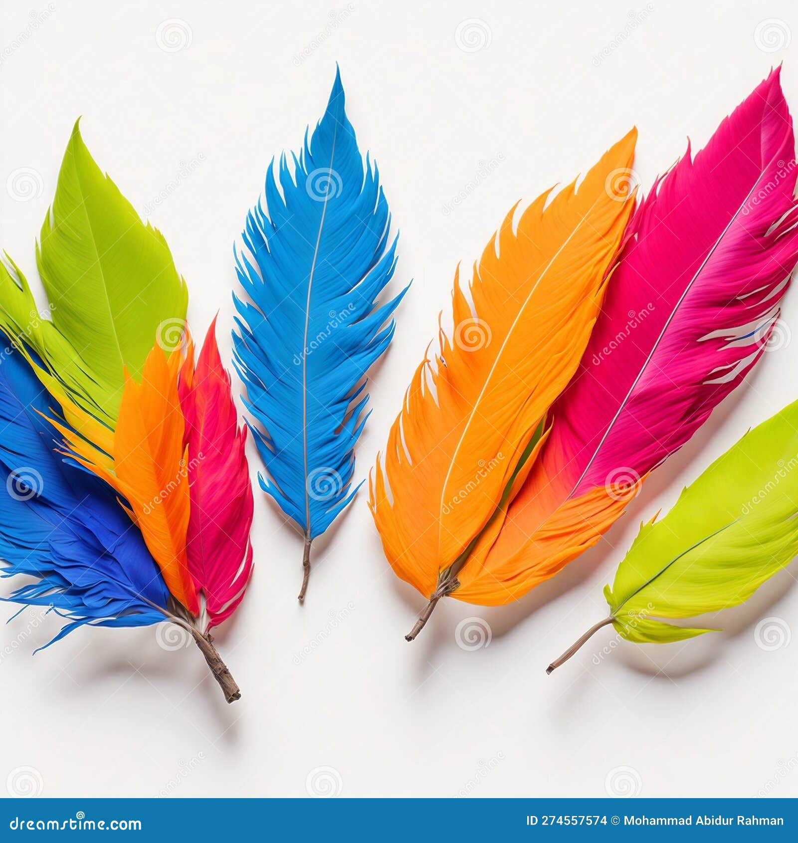 A Group of Colorful Feathers are Laying on a White Surface Background ...