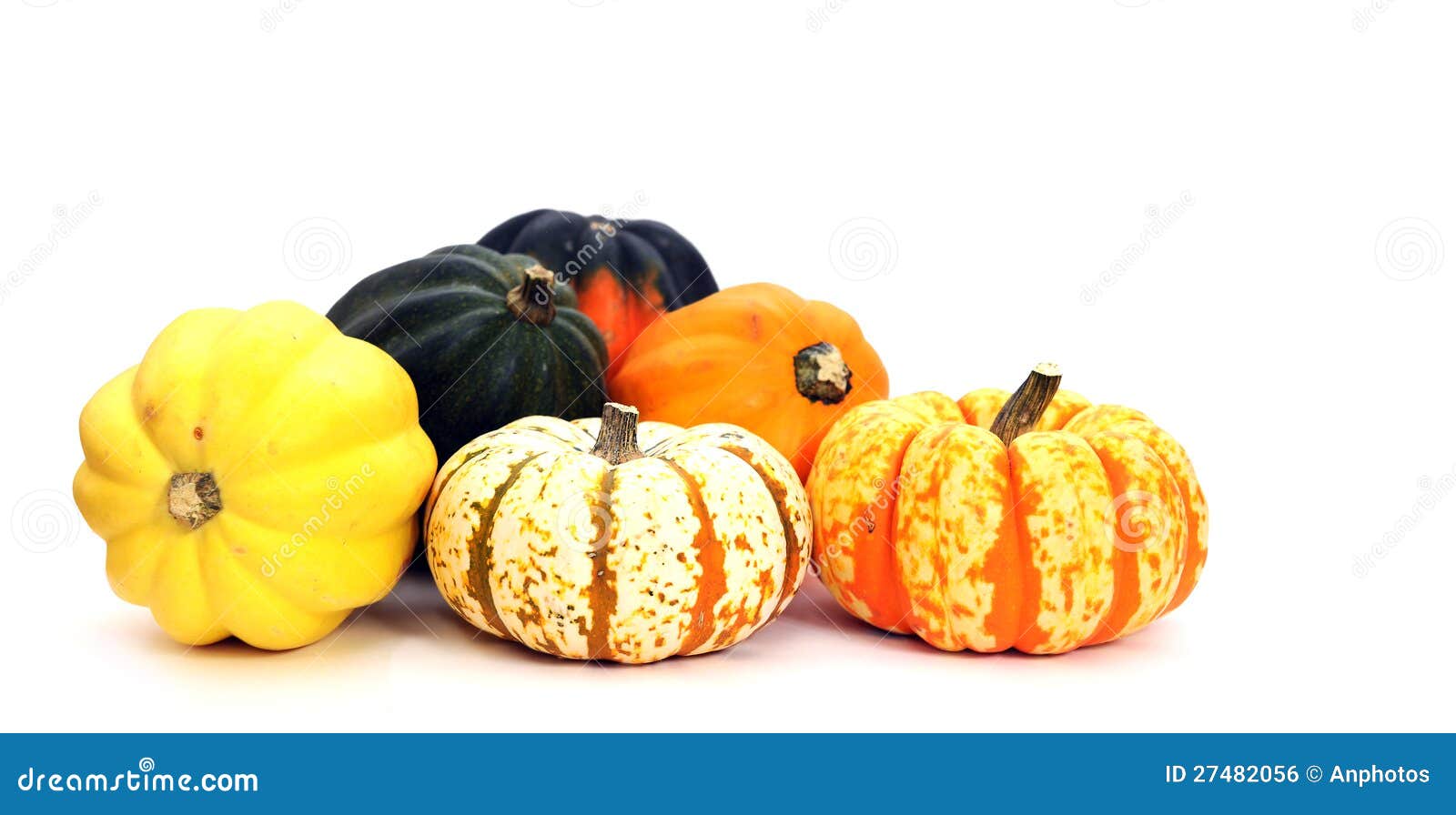 A group of colorful squash stock photo. Image of squash - 27482056