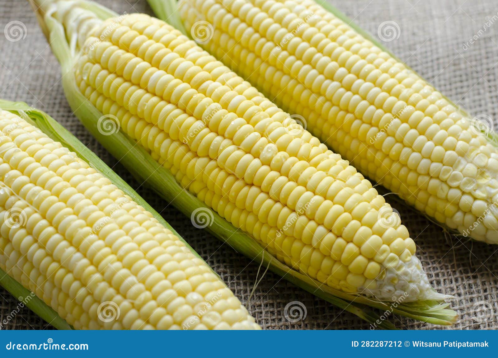 Group Corn Husks Royalty-Free Stock Photo | CartoonDealer.com #78511635