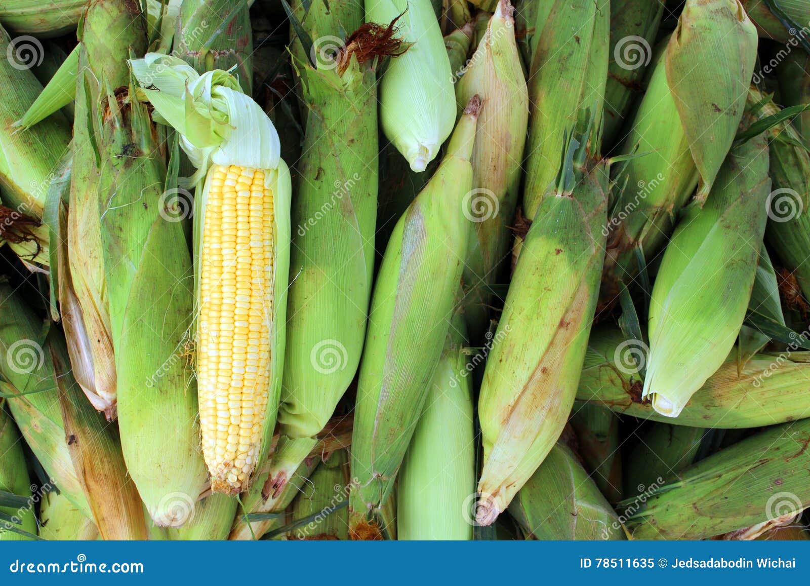 Group corn husks stock image. Image of sweet, leaf, group - 78511635