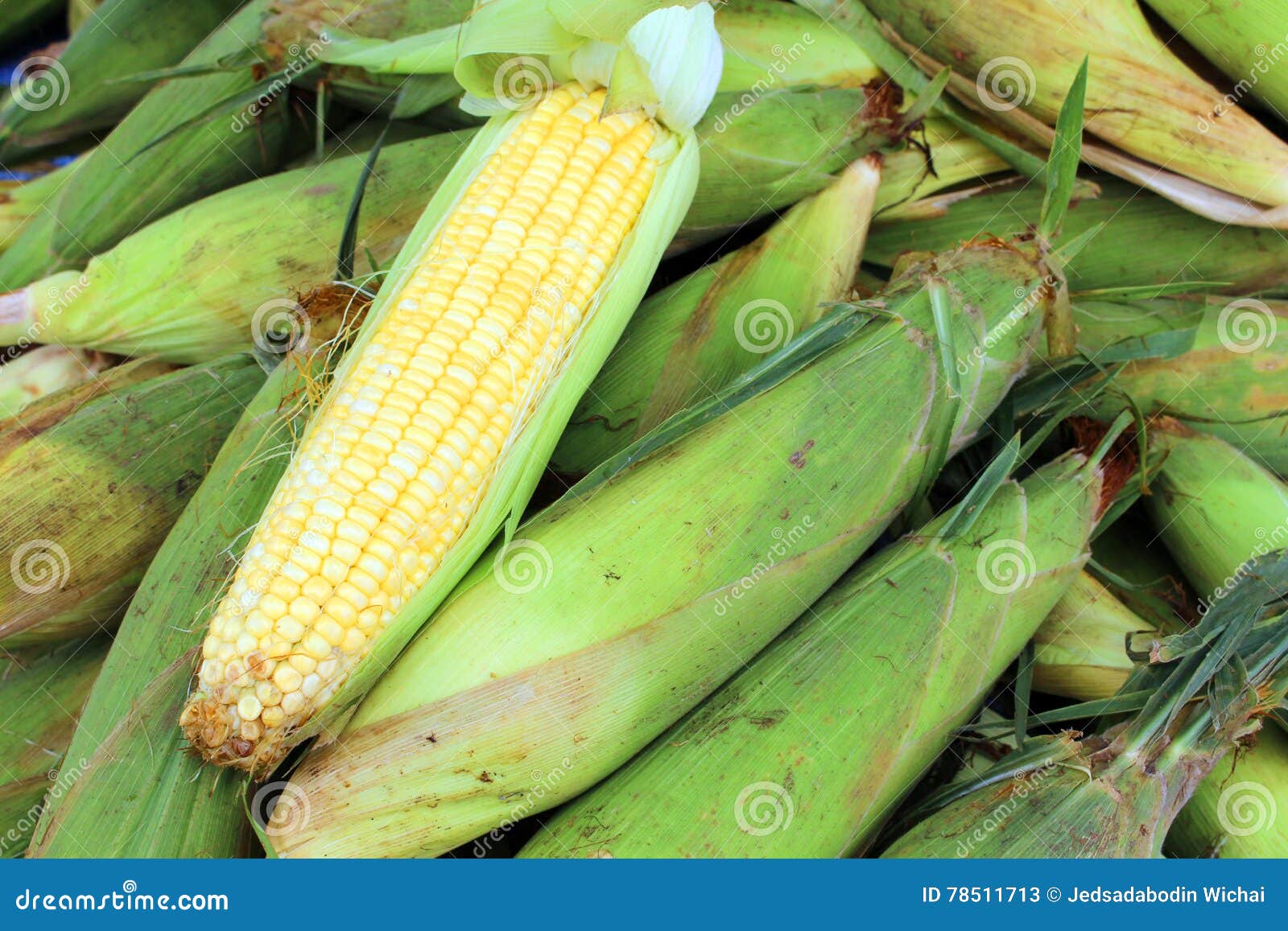 Group Corn Kernels Dry With Fresh Corn In The Full Seed Corn Background ...