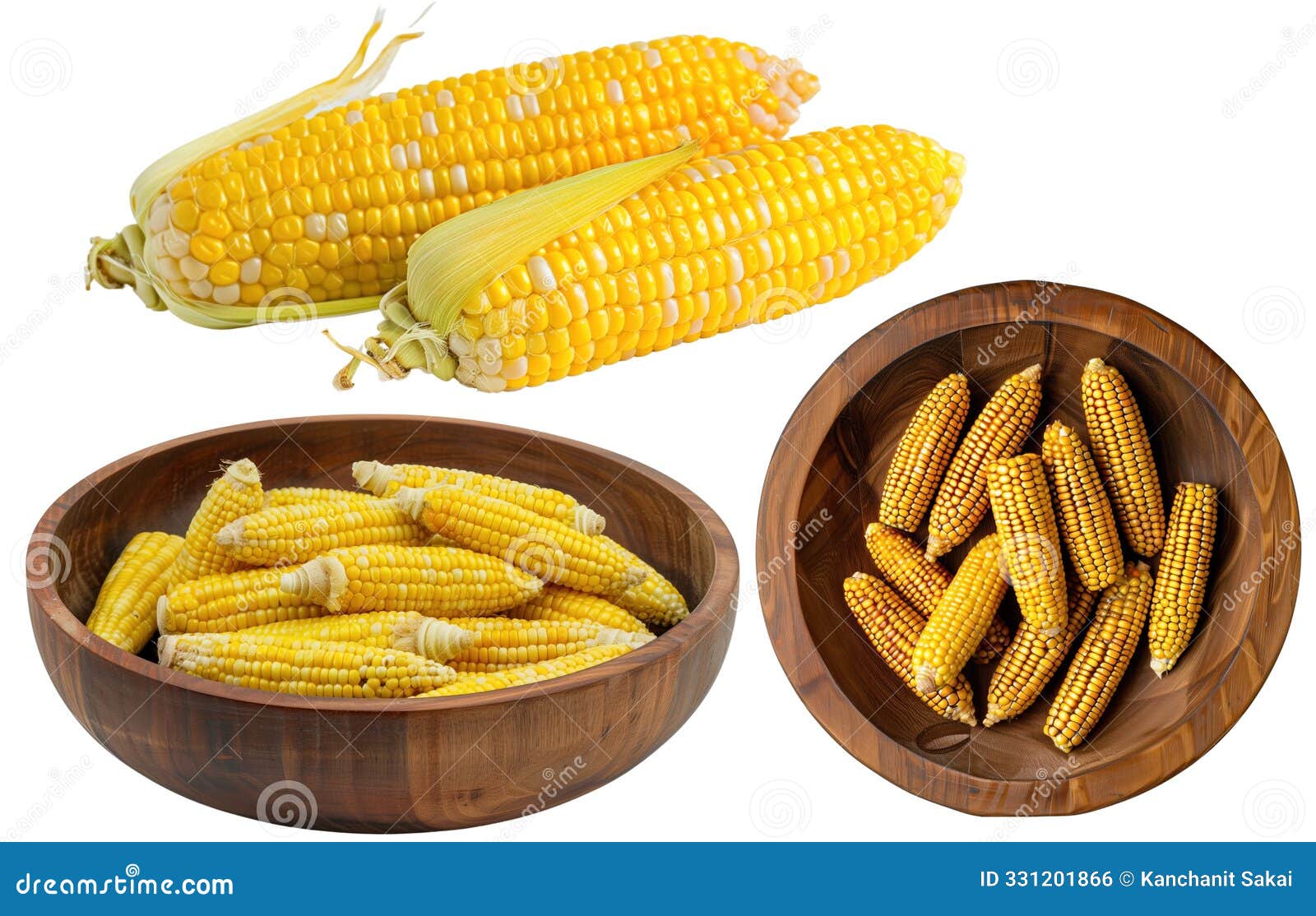 Fresh Corn Group Isolated on Transparent Background - Ideal for Natural ...
