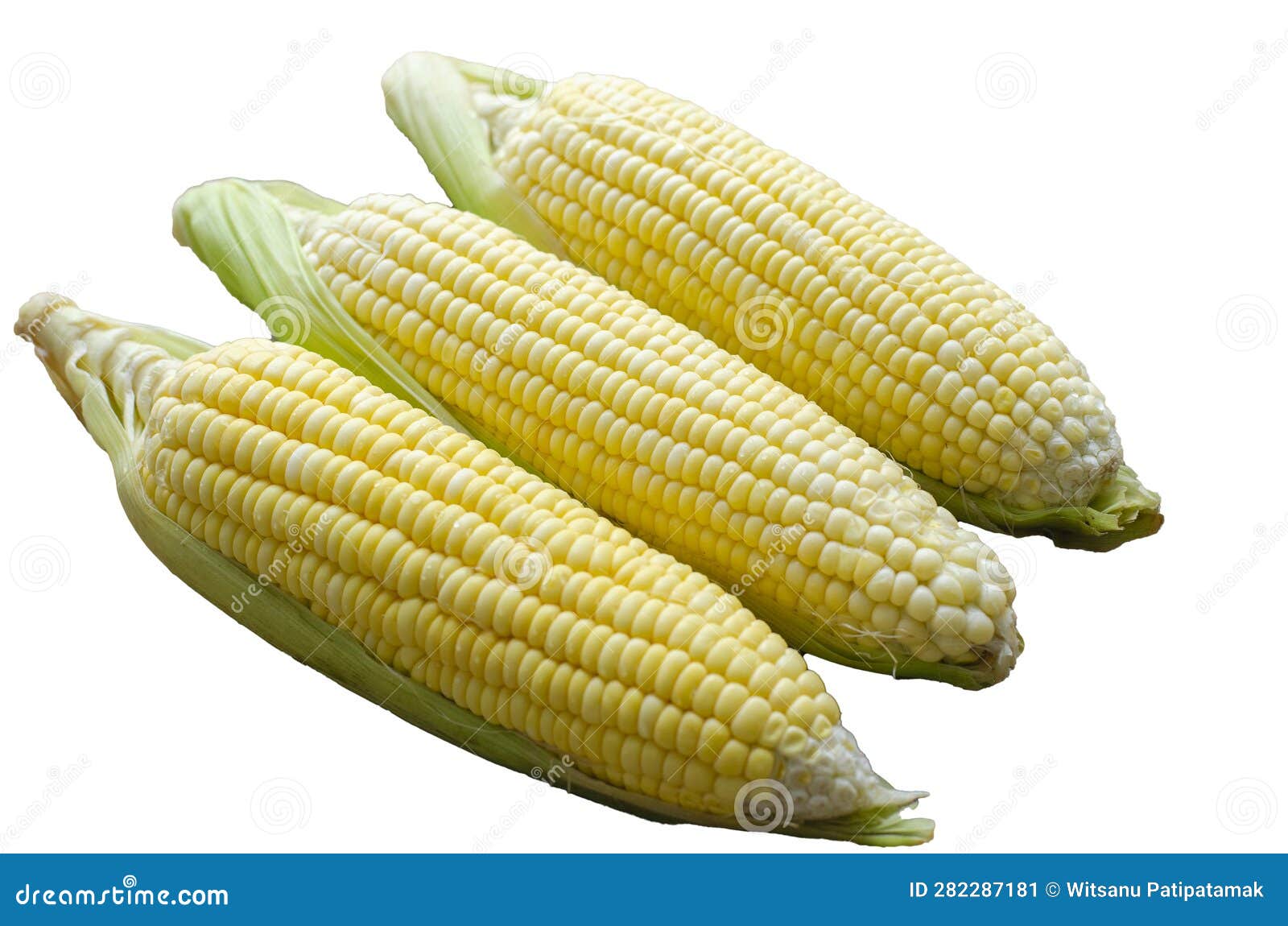 Group Corn Isolated on White Background with Clipping Path, Side View ...