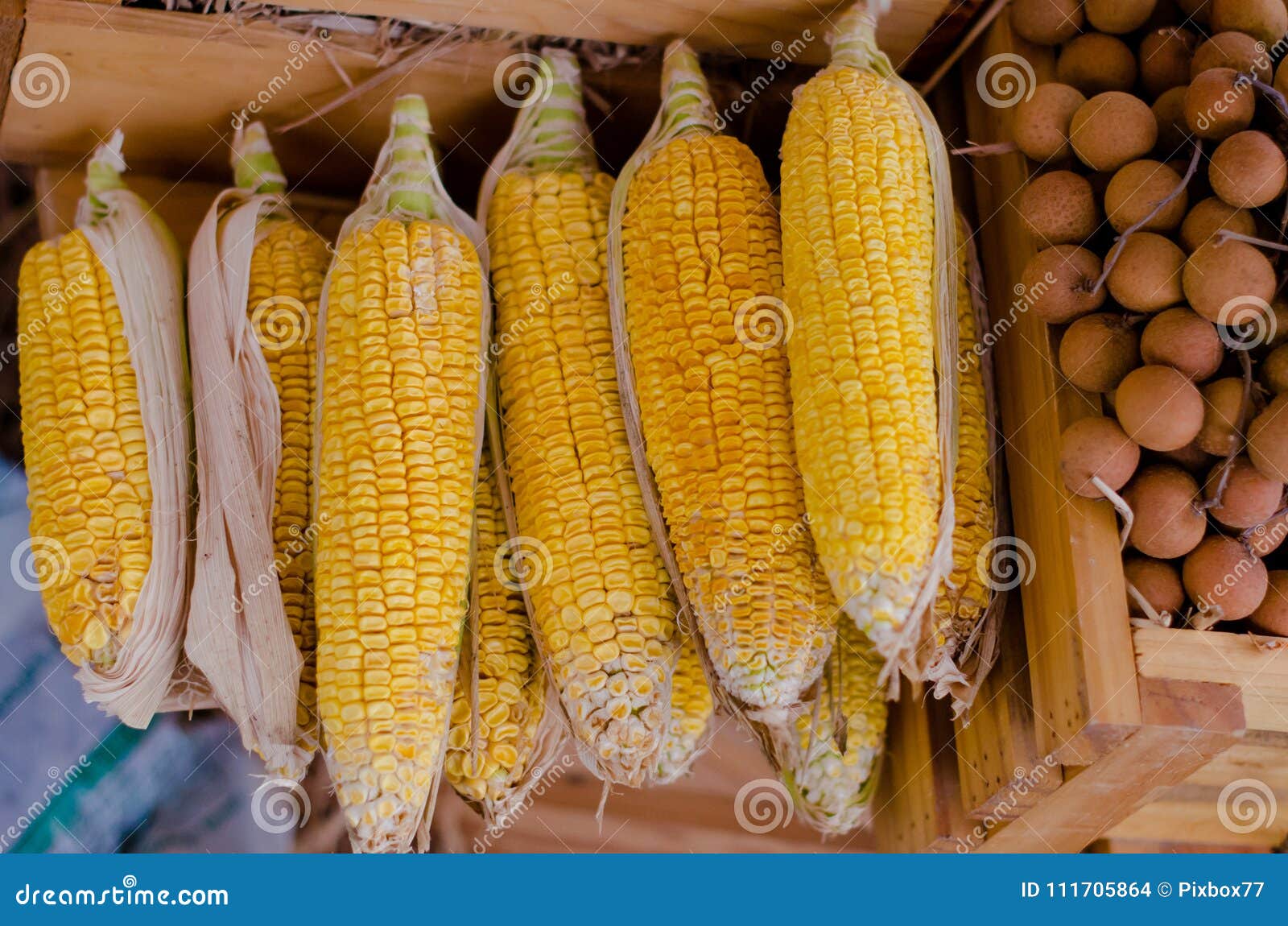 Corn in wooden box stock photo. Image of backdrop, vegetable - 111705864