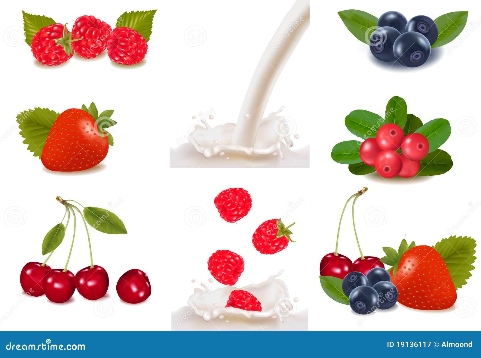 Group of Cranberries, Blueberries, Raspberries Stock Vector ...