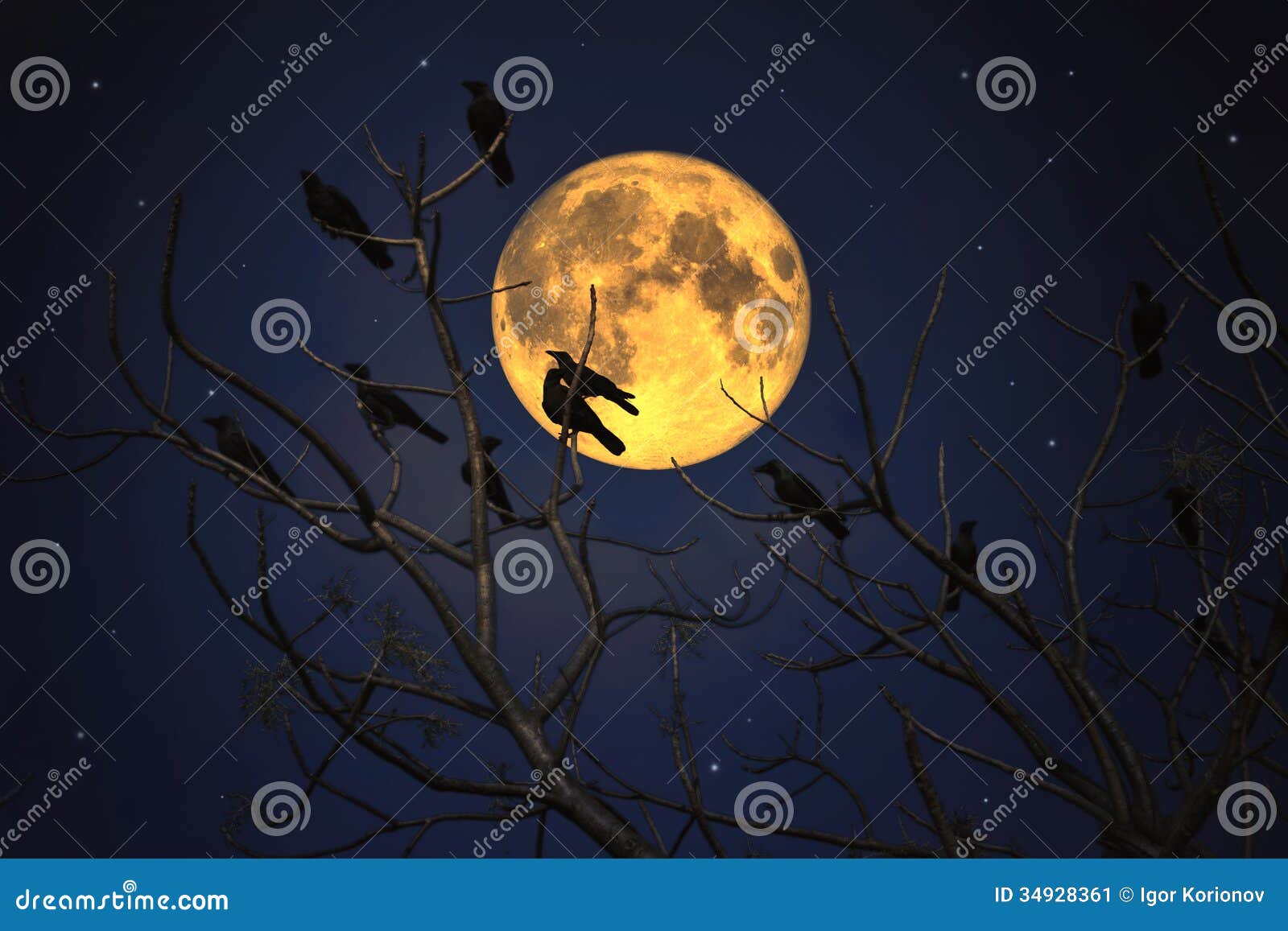 Group of Crows Sitting on a Branch Against a Full Moon Stock Image ...