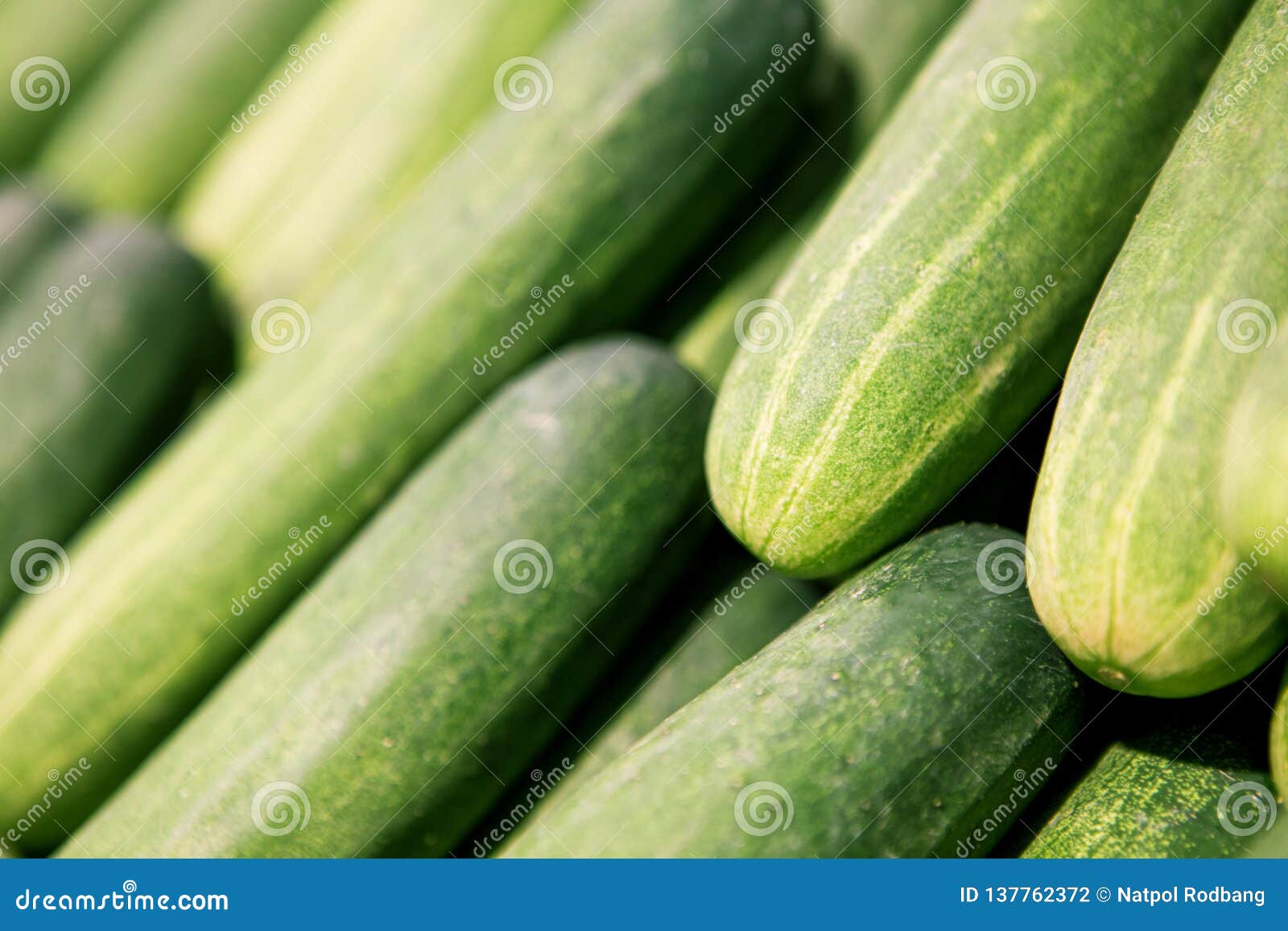 Group of Cucumbers on Shelf in Fresh Market Stock Photo - Image of ...