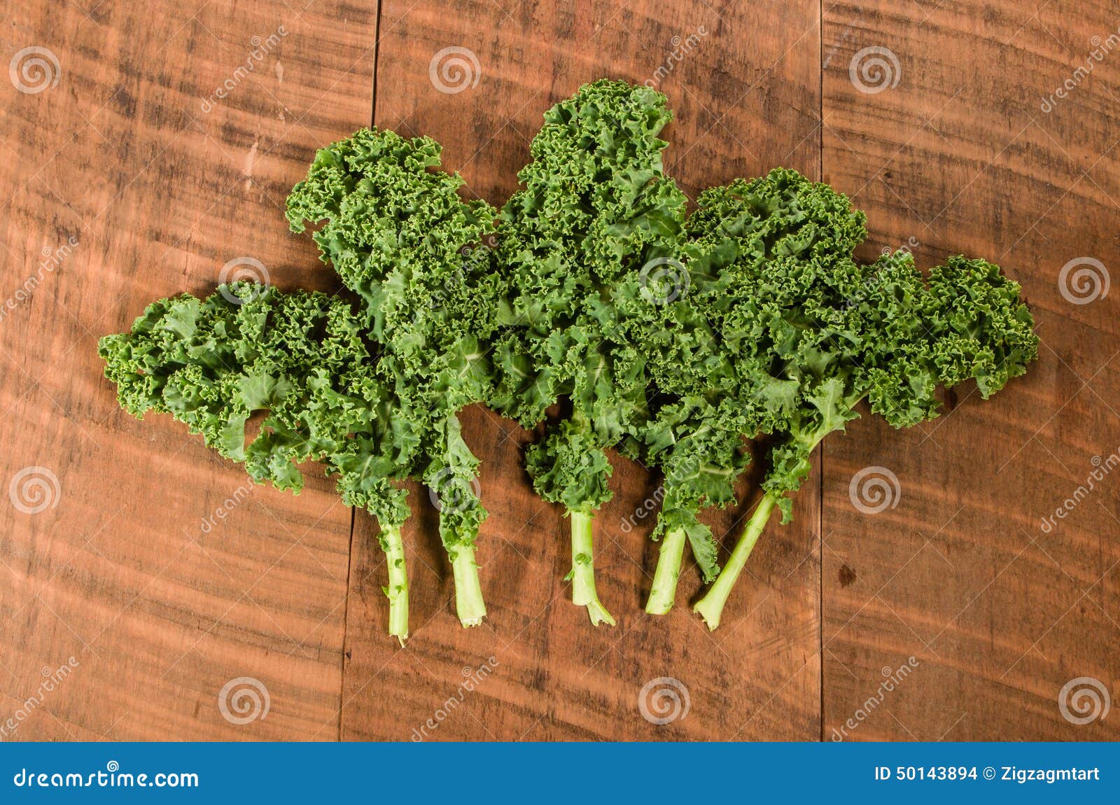 Group of curly kale leaves stock photo. Image of grown - 50143894