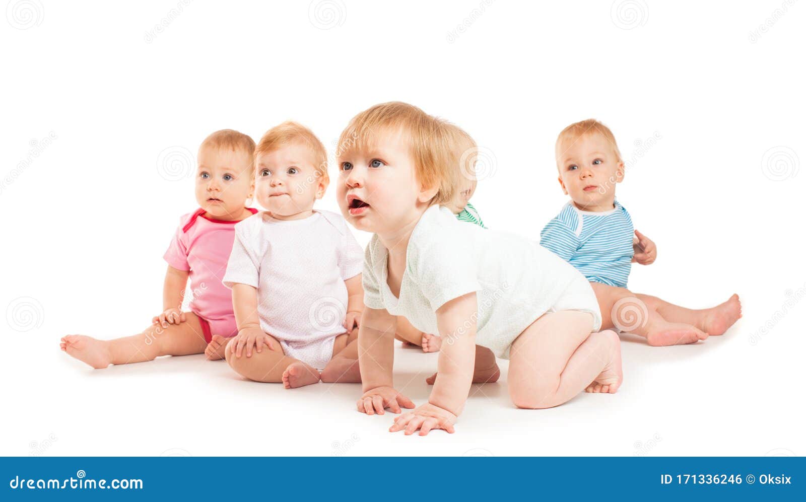 Group of Cute Babies Crawling on Floor. Isolated on White. Stock Photo ...